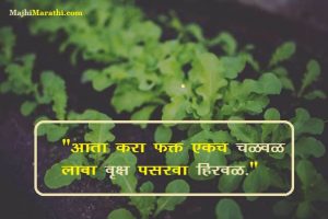 "झाडे लावा, झाडे जगवा" या विषयी काही घोषवाक्य - Save Tree Slogan in Marathi