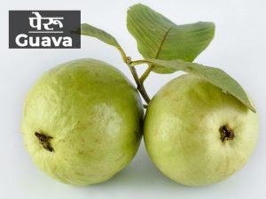 पेरू फळाची संपूर्ण माहिती - Guava Information in Marathi