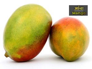 आंबा फळाची माहिती मराठी - Mango Information in Marathi