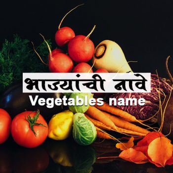 Colors Name in Marathi | रंगांचे मराठी नावे