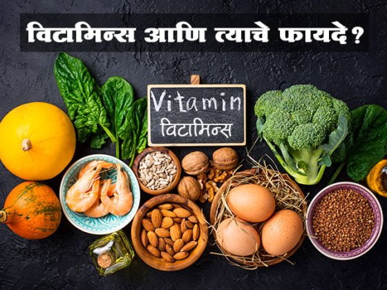 साळिंदर / सायाळ प्राण्याची माहिती - Sayal Animal Information in Marathi